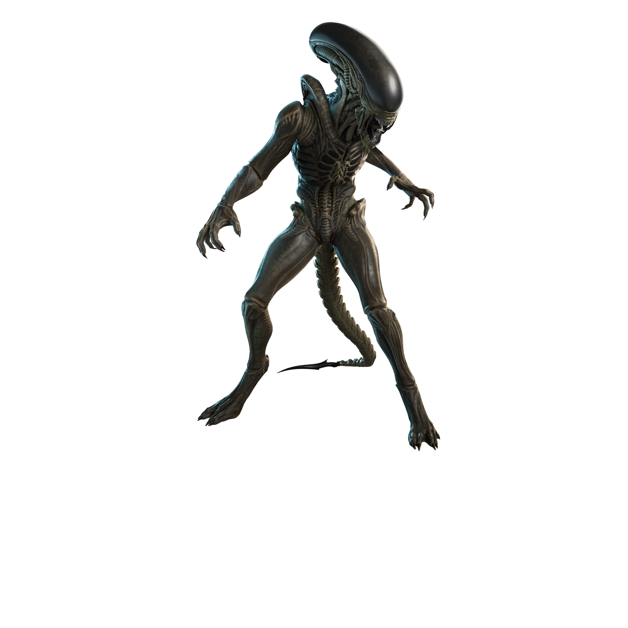 ⫷ Fortnite Xenomorph (Alien: Earth) Skin ⫸ Characters & Skins 👕 ᑕ ᑐnite ...